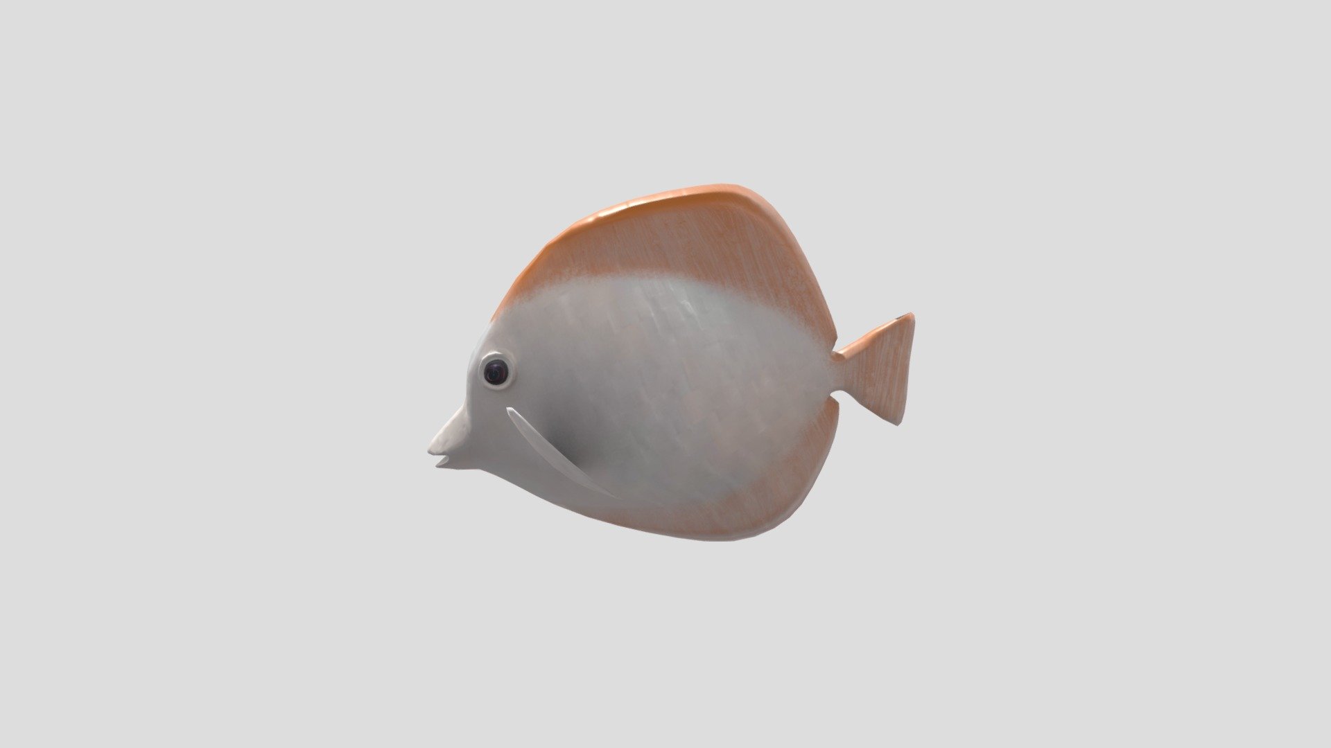 Here fishy fishy - Download Free 3D model by Brittany G (@bgwt ...