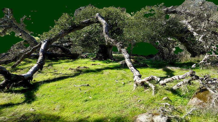 Drought 3D models - Sketchfab