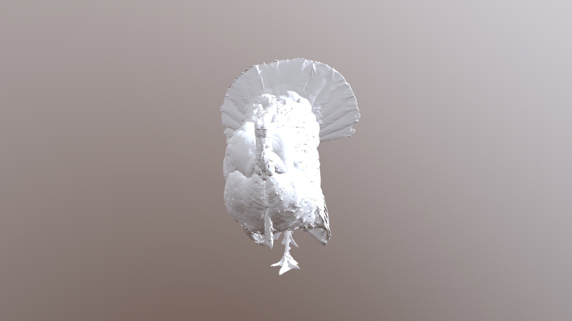 Turkey - 3D model by russellagraves [504963a] - Sketchfab