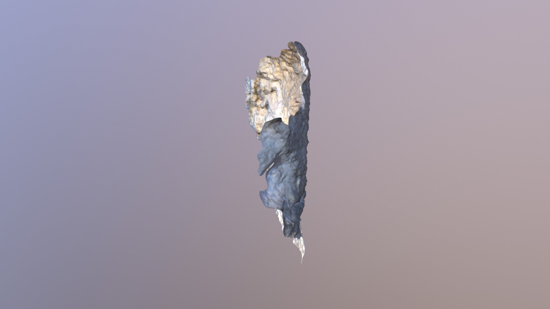 Mammal Burrow Simplified 3d Mesh - 3D model by taphonomy [504e1a9 ...
