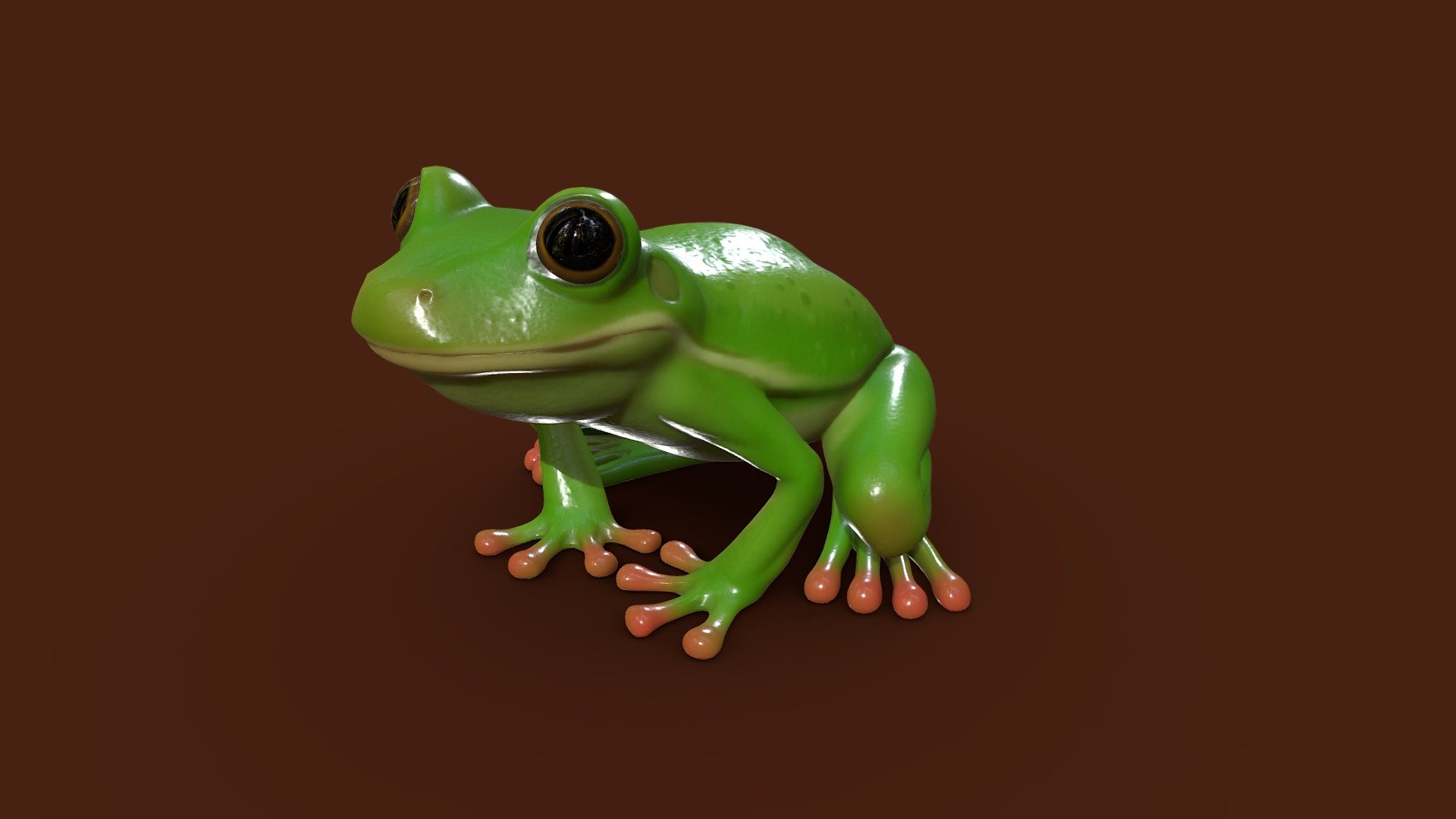 Stylized Green Frog - Download Free 3D model by Vladimir Galev ...