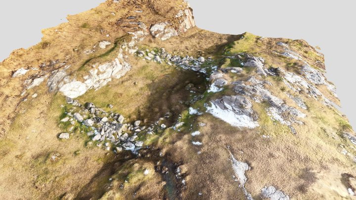 Turf 3D models - Sketchfab