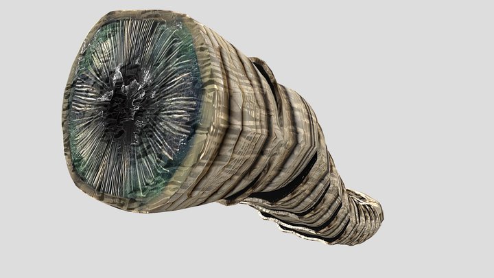 Worm 3D models - Sketchfab