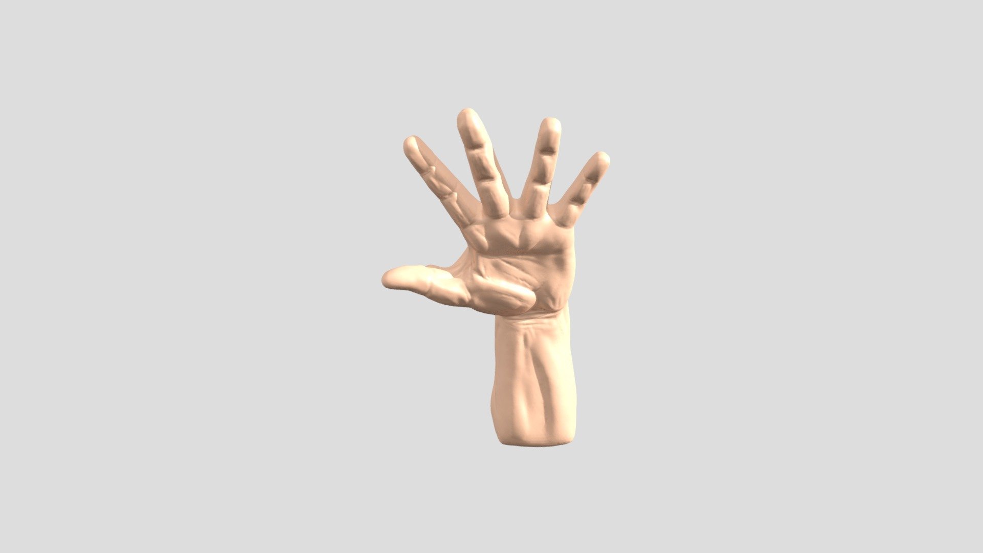 Mano/Hand - 3D model by Drstufet [50656b5] - Sketchfab