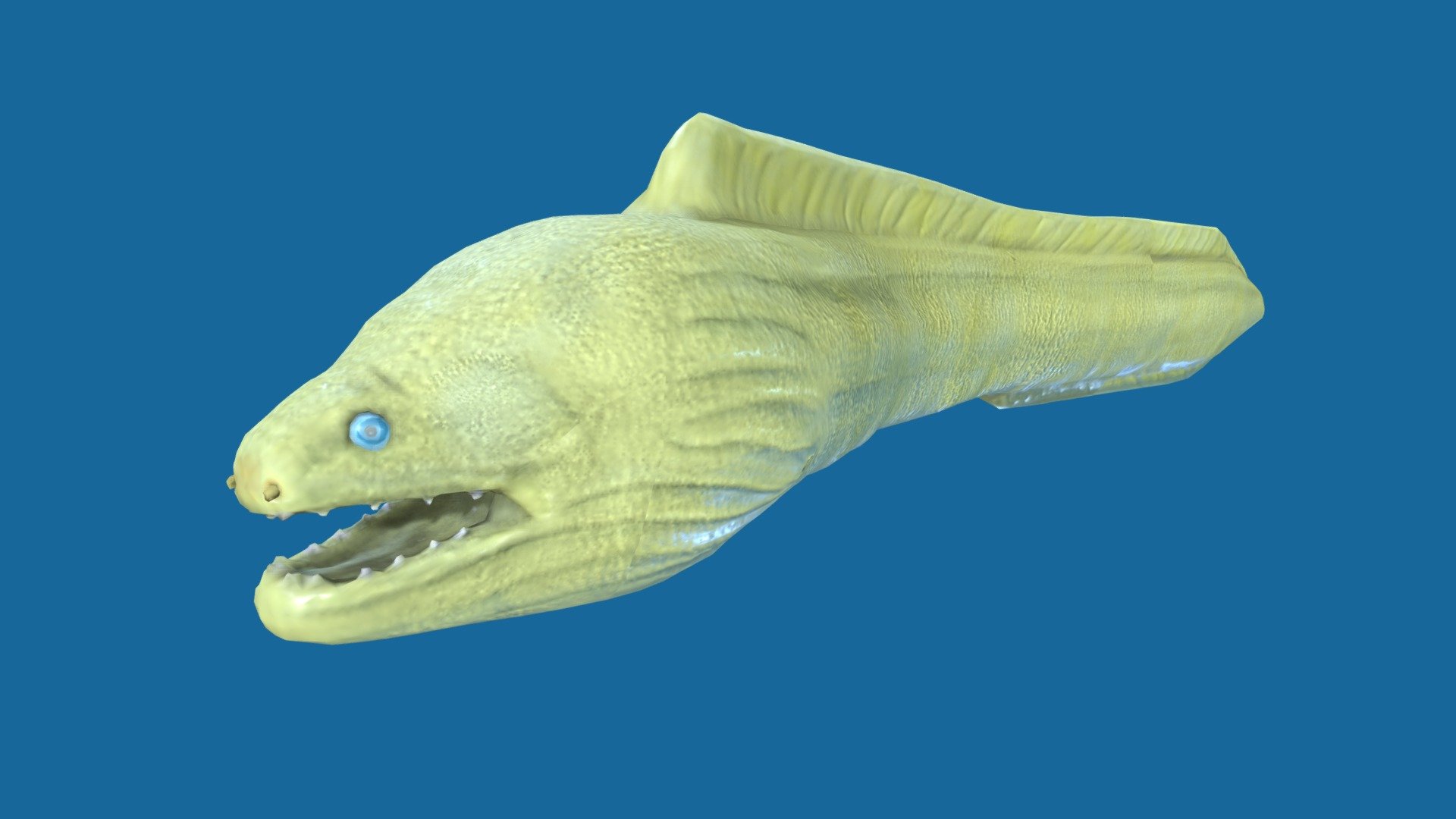 Animated Moray Eel - 3D model by kagadoz [50666db] - Sketchfab