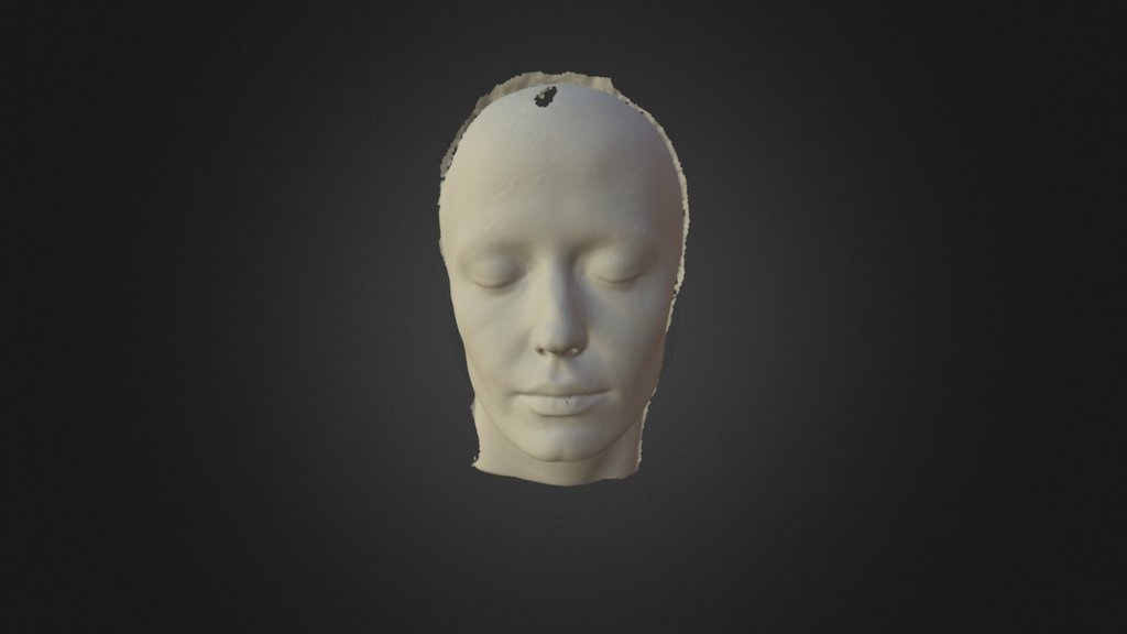 ID 038 - Download Free 3D model by 3D Face Database (@epigenomics ...