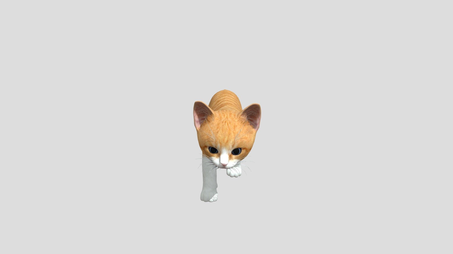GATO - Download Free 3D model by GABI (@a0296) [506a458] - Sketchfab