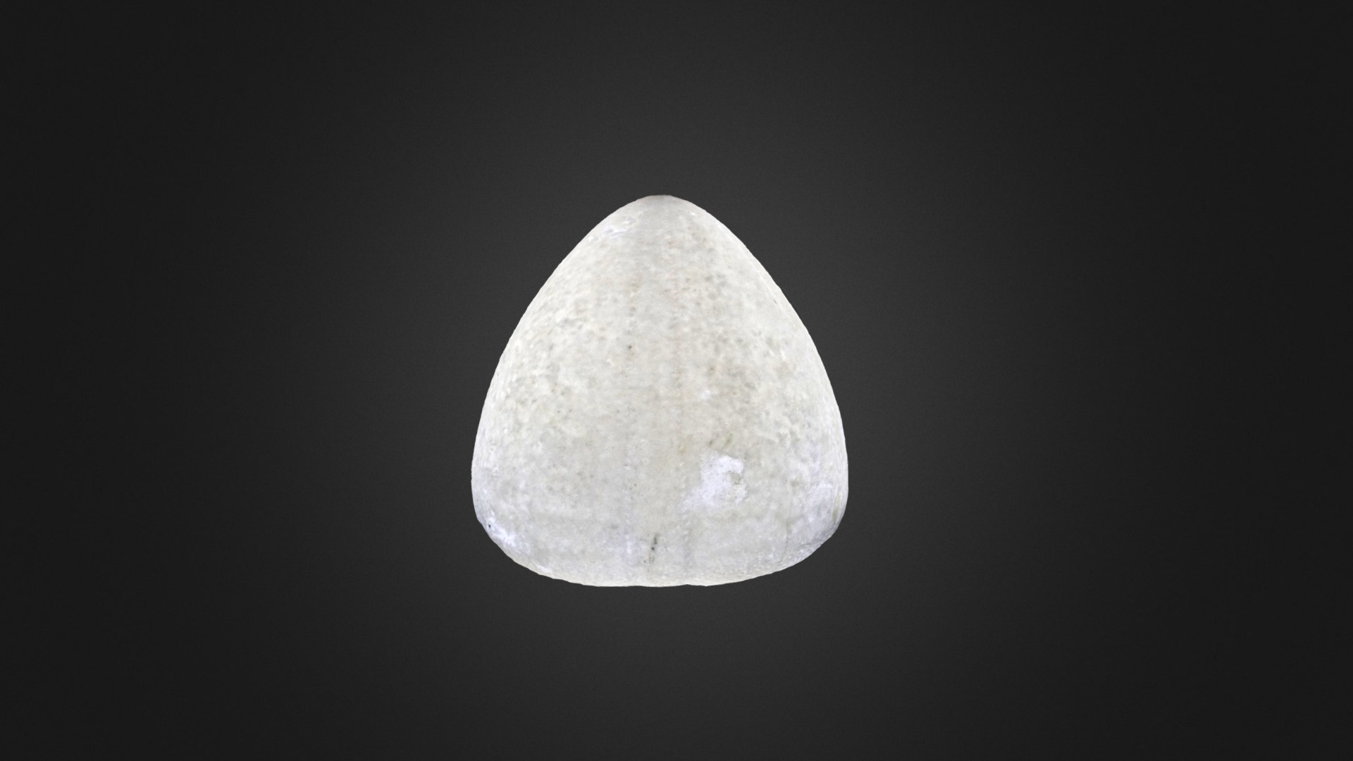 Echinoid: Conulus albogalerus (PRI 44594) - Download Free 3D model by ...