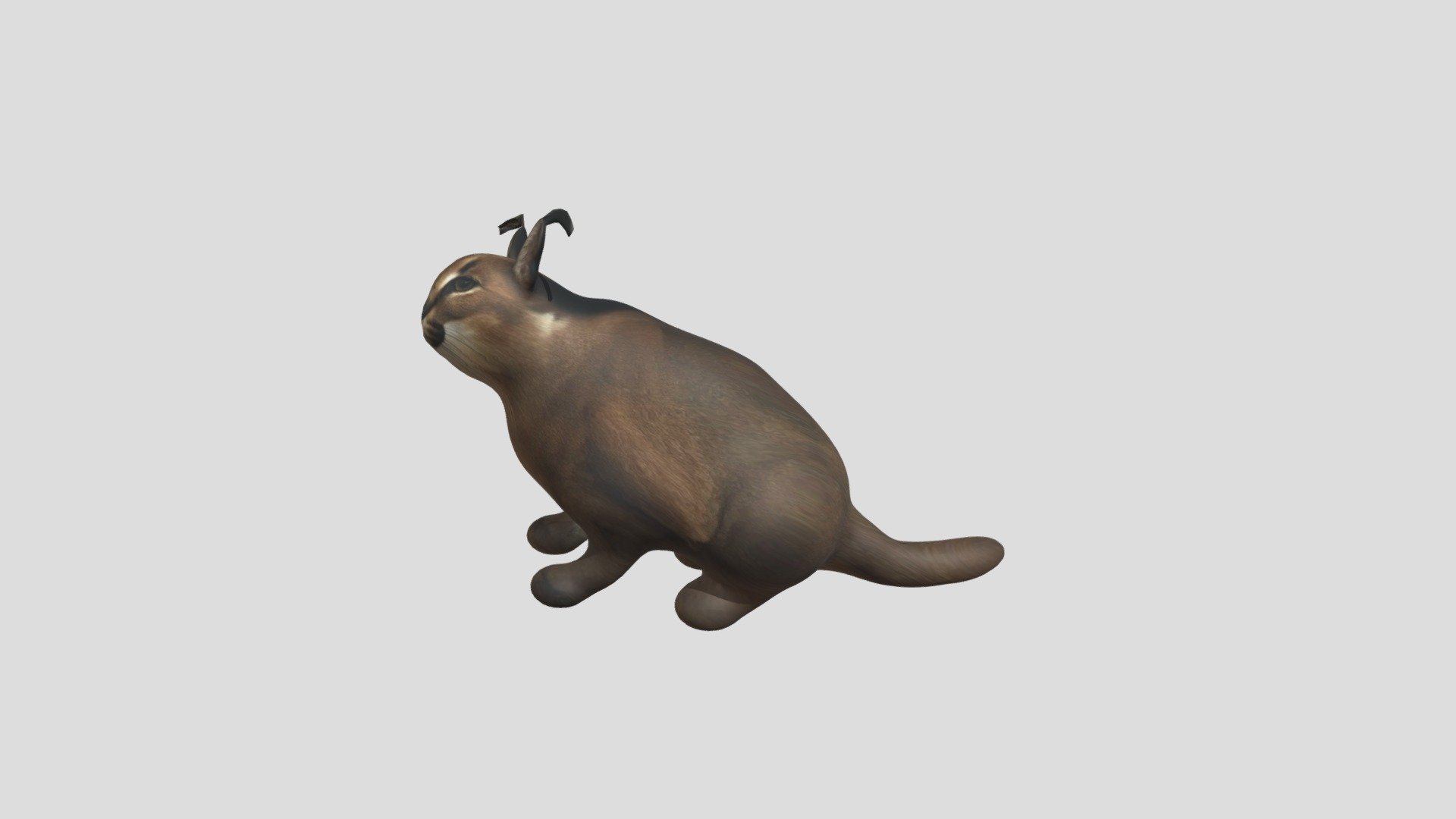 big-floppa-3d-model - 3D model by Fnf367 [5092162] - Sketchfab