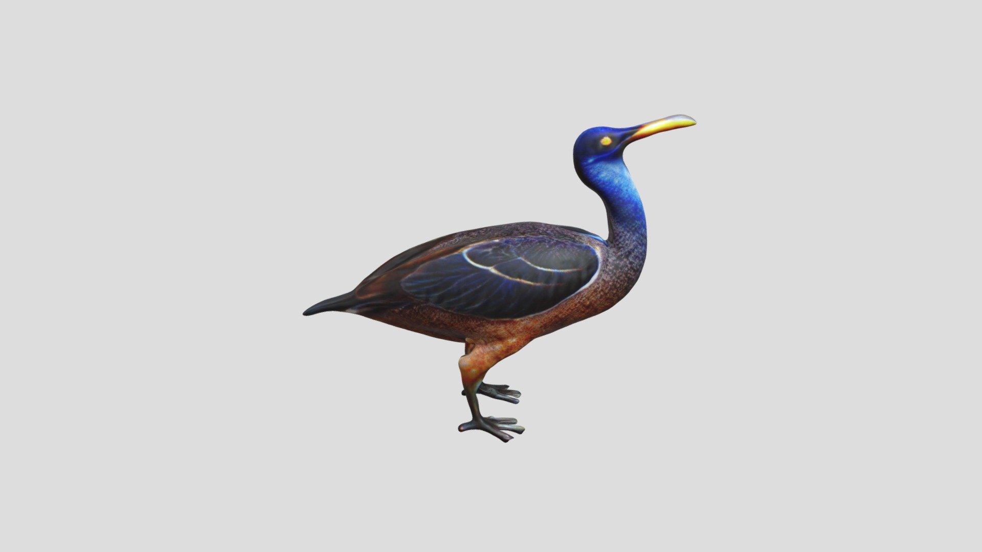 Neornithes Anserifo Bird - Download Free 3D model by aaronamoncul212 ...