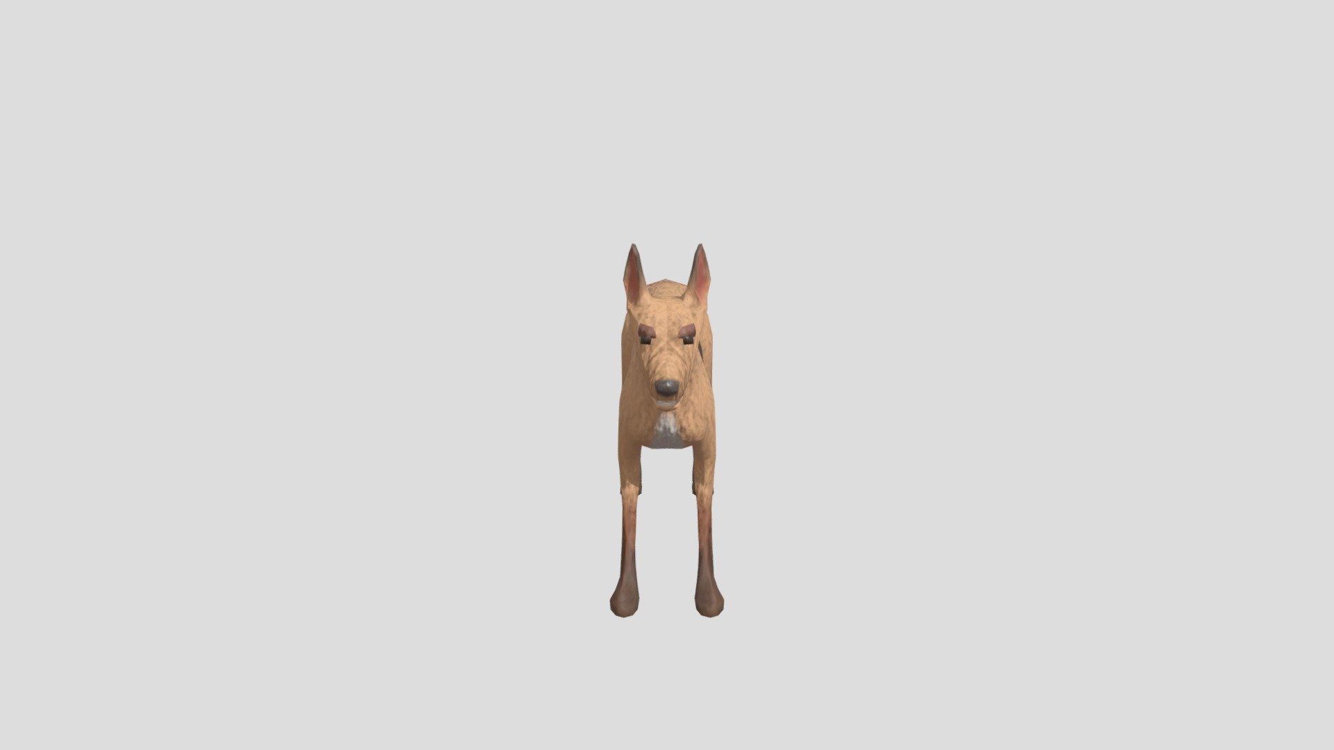 Dog - Joe - 3D model by maniacie (@maniacie02) [50ae074] - Sketchfab