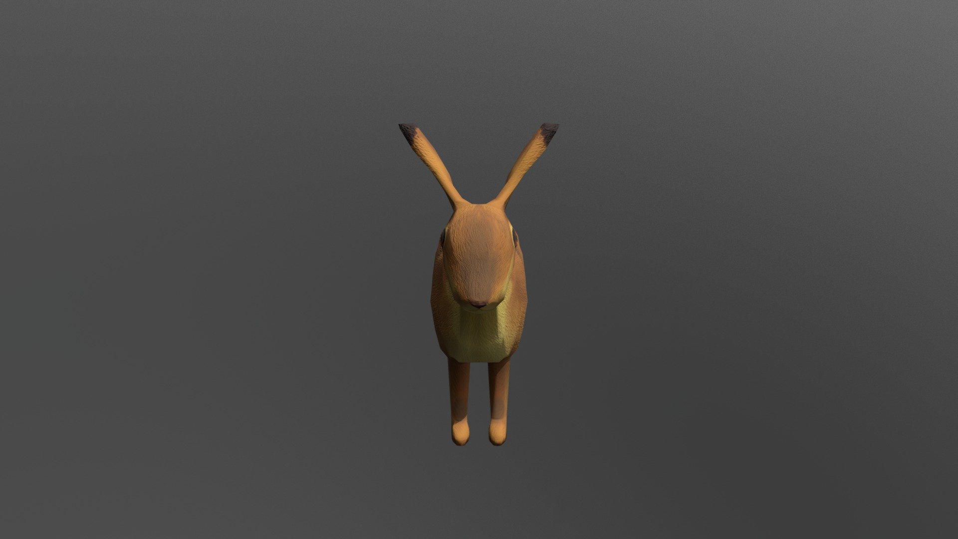 Hare - 3D model by Aimée Hatton (@aimeehatton) [50b4d82] - Sketchfab