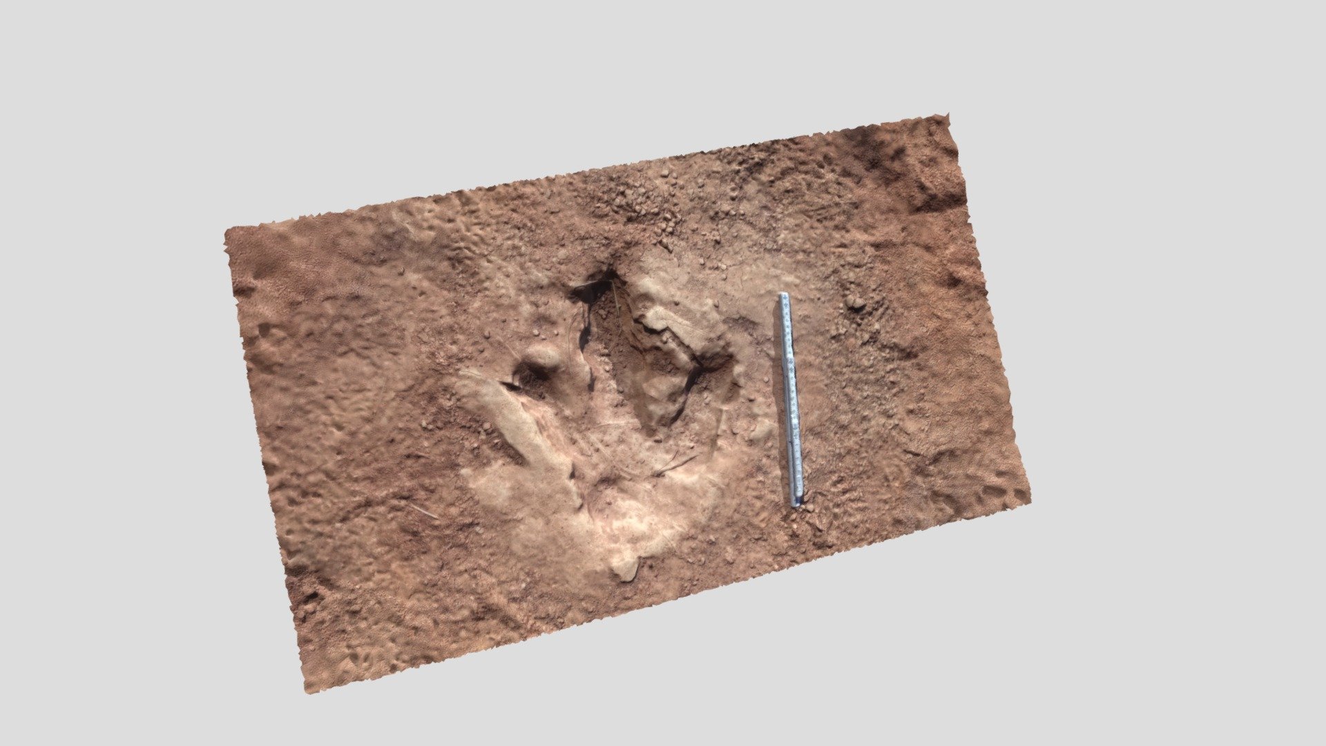 Mail Station Track Site Footprint - Download Free 3D model by sam ...