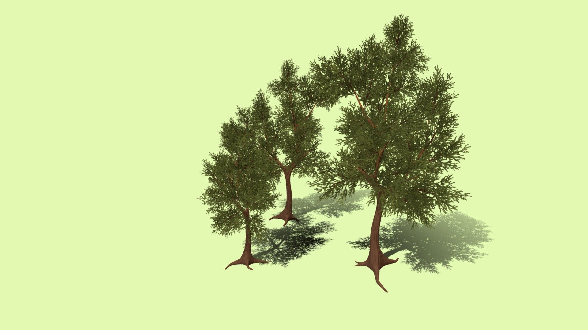 Tree practice - 3D model by Solear [50b96f6] - Sketchfab