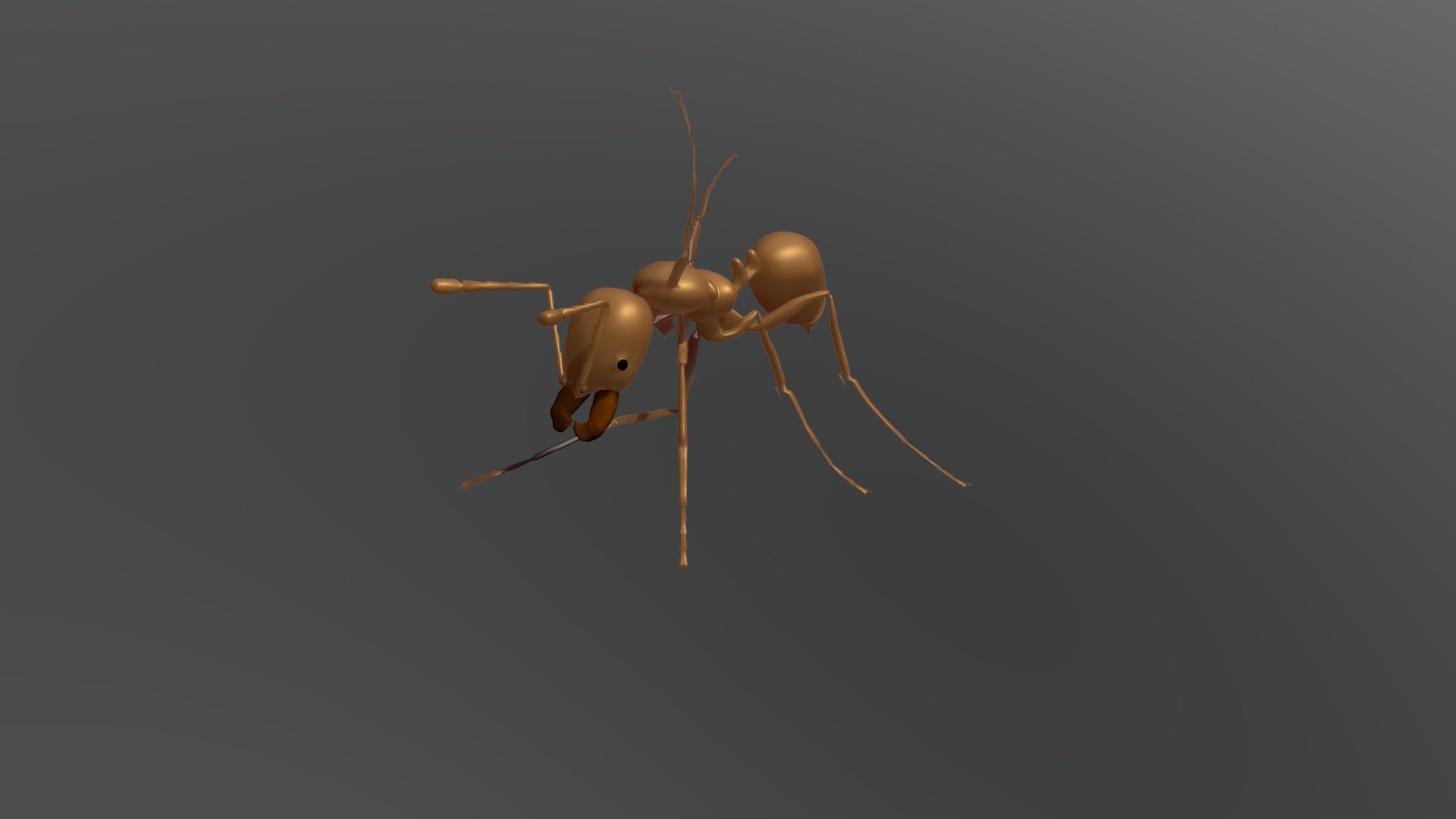 Fire Ant - 3D model by TrentPierce [50c2a42] - Sketchfab