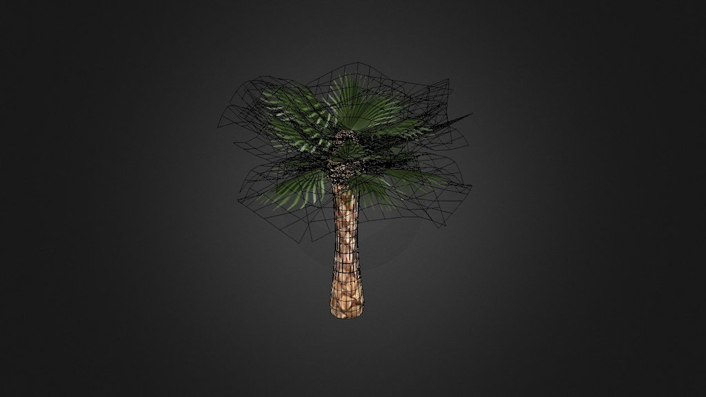 Palm Tree - Download Free 3D model by maypassamon [50c3085] - Sketchfab