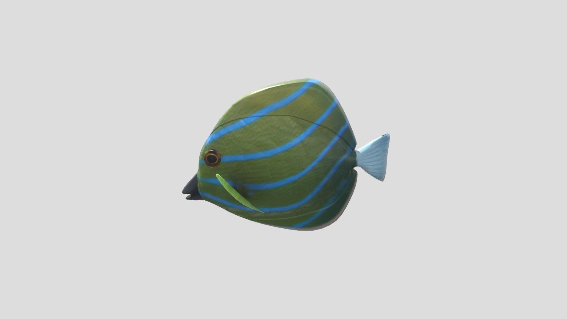 Streeter_Fish - 3D model by eastreeterwt [50c77c7] - Sketchfab