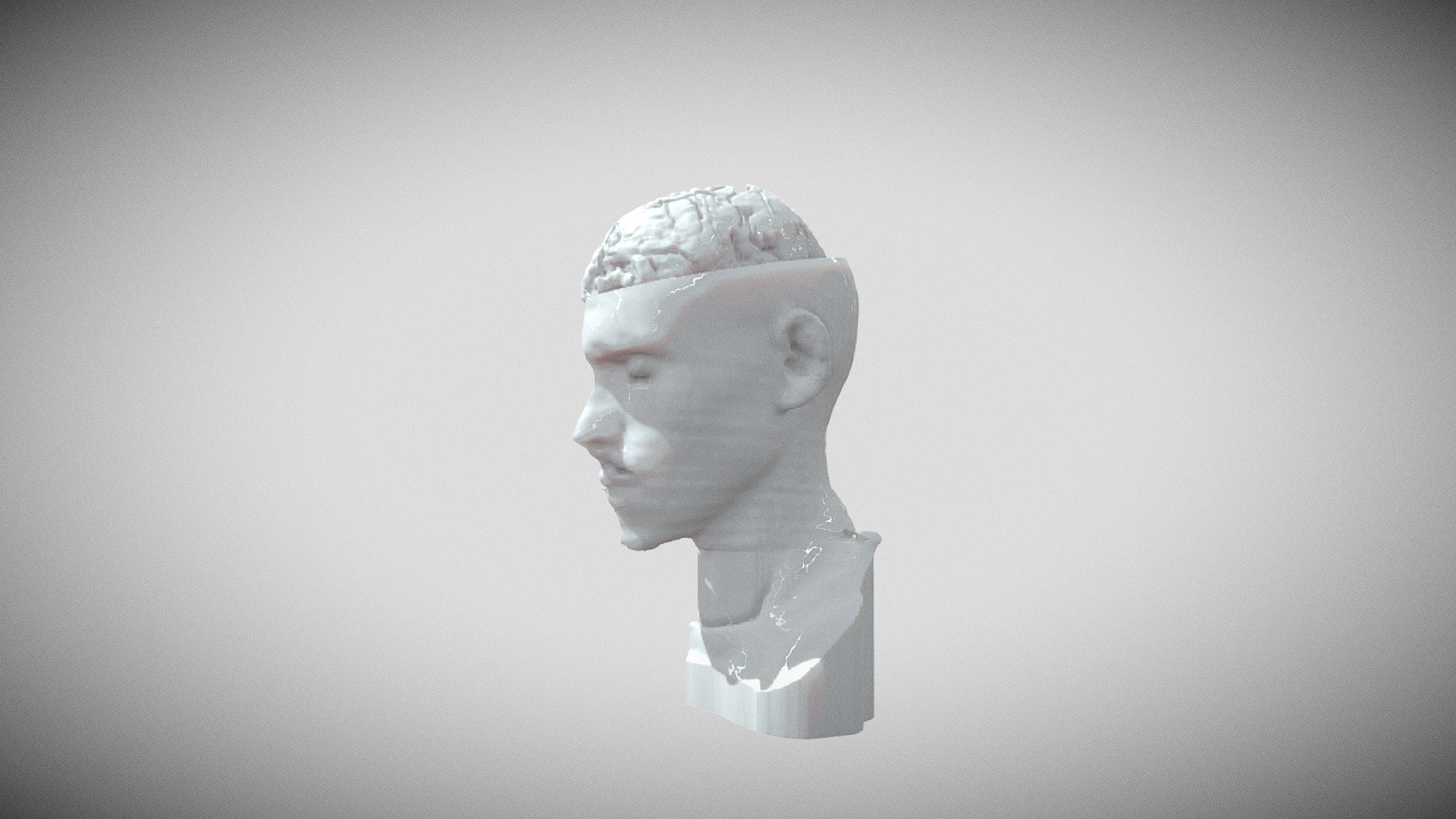felipe cabeça completa stll reduzida - Download Free 3D model by Felipe ...