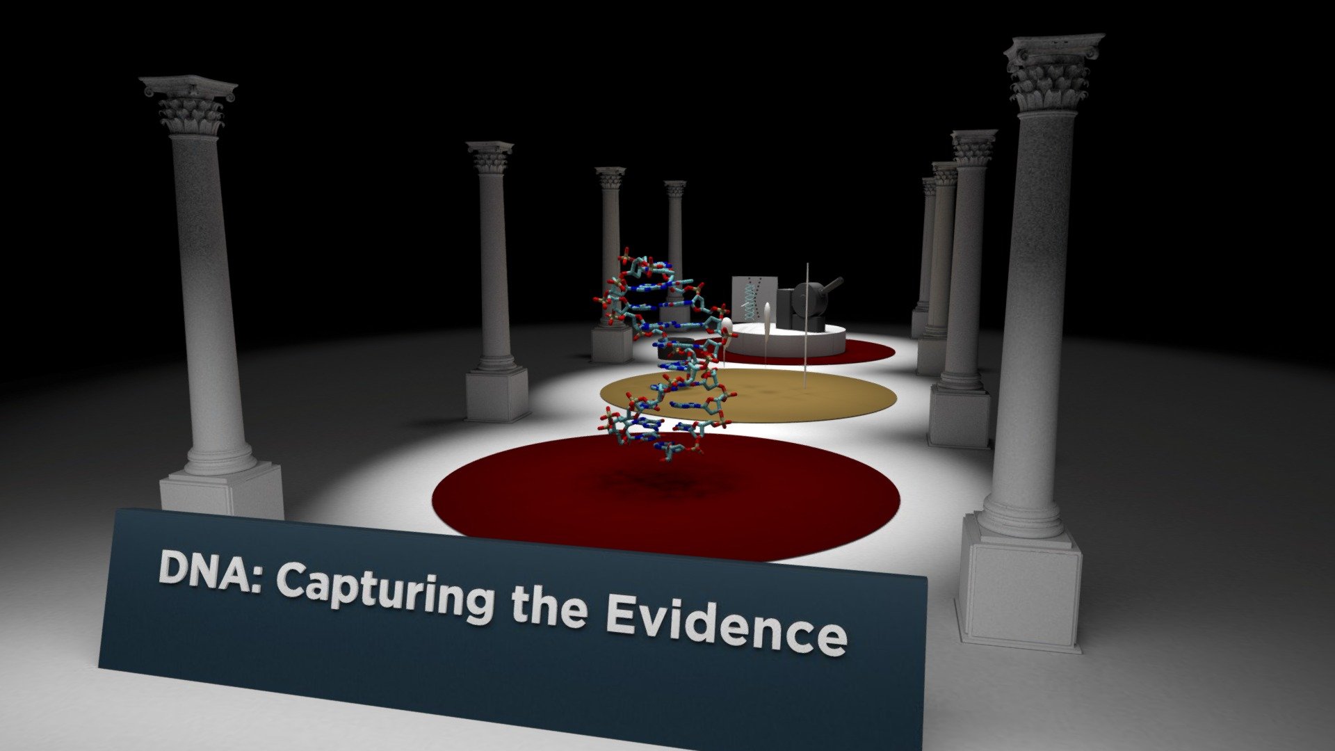 DNA: Capturing the Evidence - 3D model by Rosalind Franklin University ...