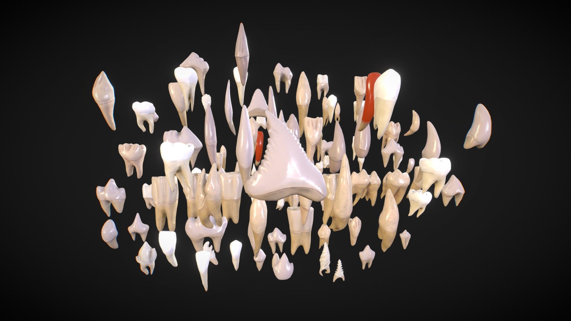 Great Teeth Pack - 3D model by Zelad (@zelad3d) [50d39ee] - Sketchfab