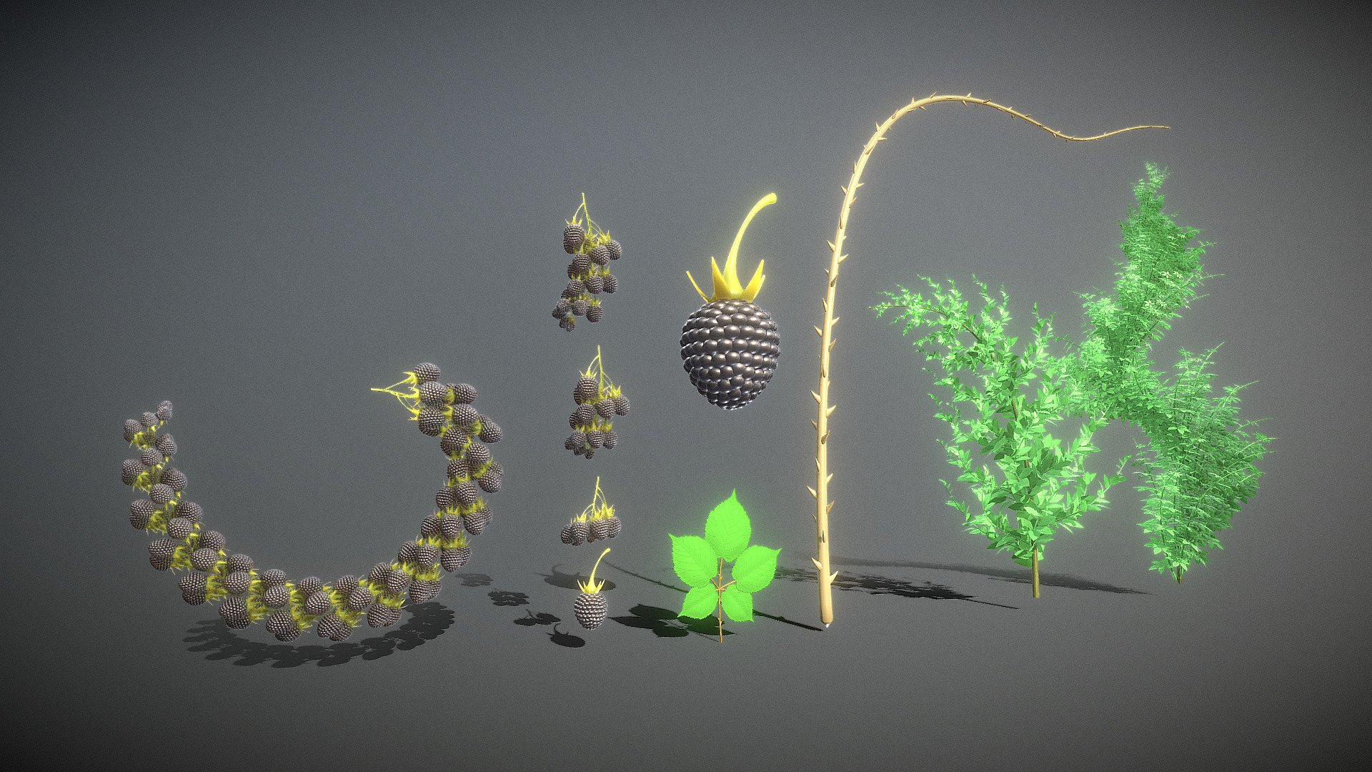 Blackberry Bush (WIP-2) Geometry Nodes - Buy Royalty Free 3D model by ...