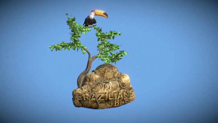 Toco 3D models - Sketchfab