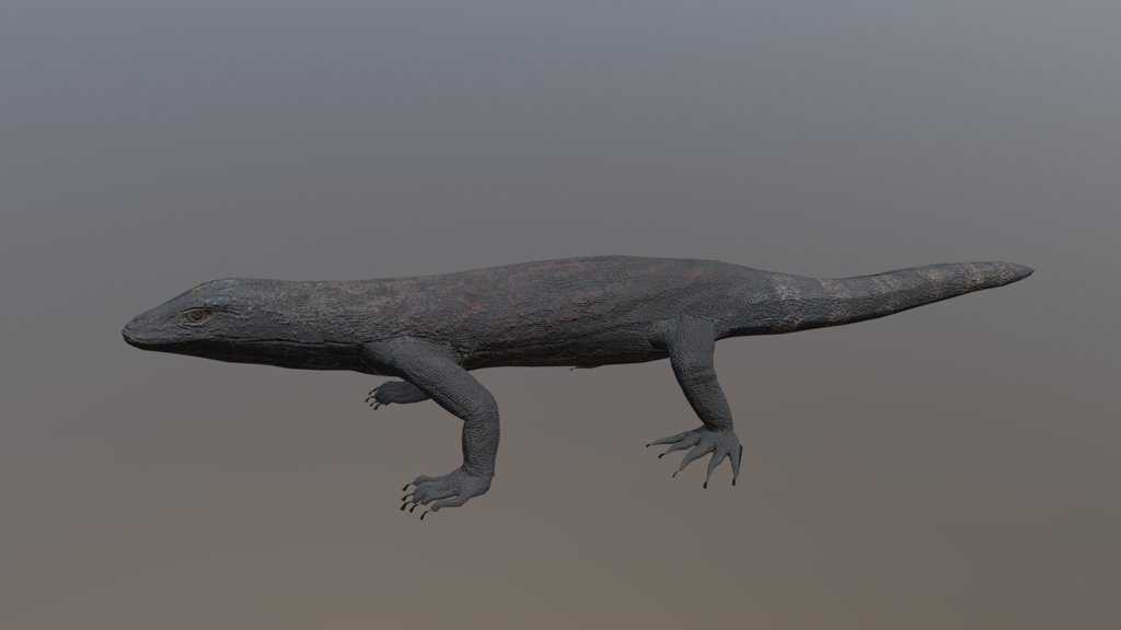 Lizard species - A 3D model collection by Marty Dillon (@wildterrain ...