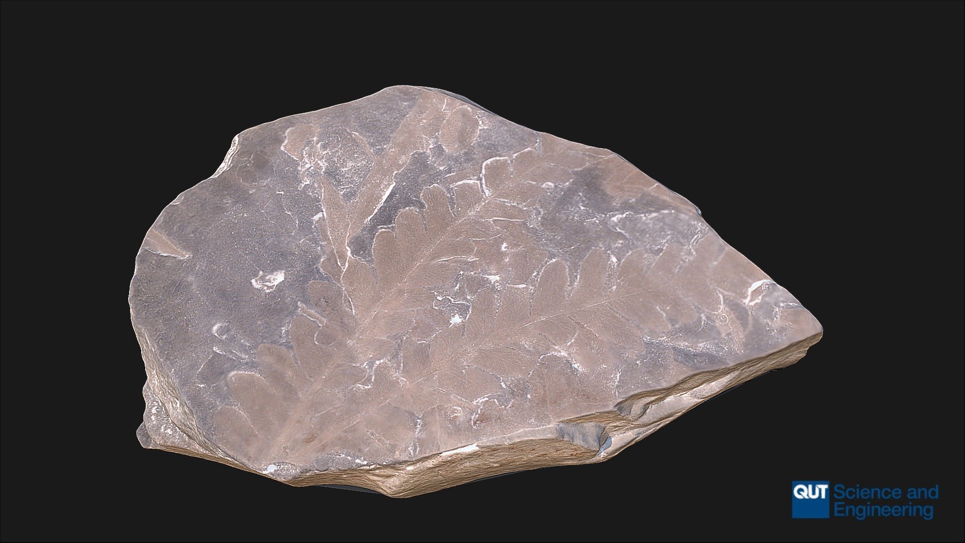 ERB102 Depositional Environments Sample 2 - 3D model by QUTSEF [50e9535 ...