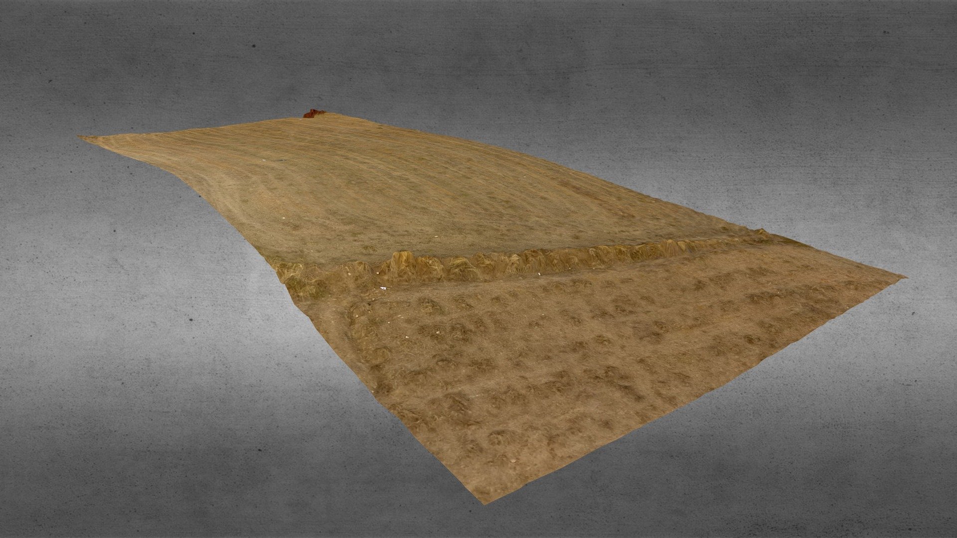 Crop Field Model - 3D model by iC aerial video (@iCaerialvideo ...