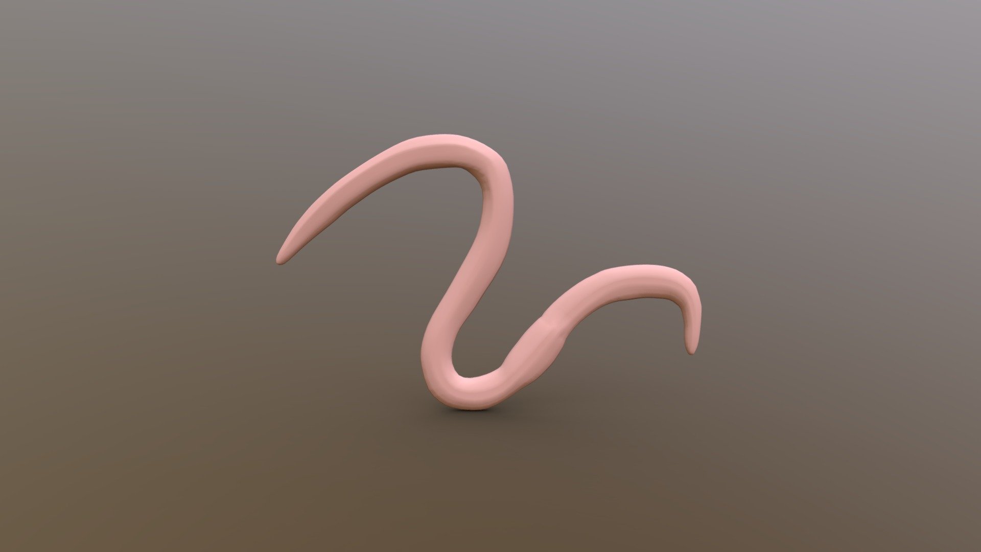 Earth Worm - 3D model by GentryHS EAST (@gentryhsEAST) [50f4fbd ...
