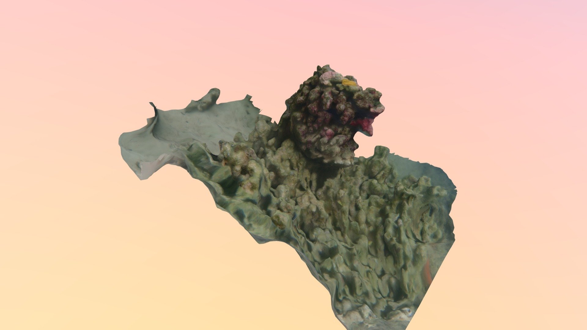 CCA (and yellow sponge) - 3D model by Shayle [50f5b73] - Sketchfab