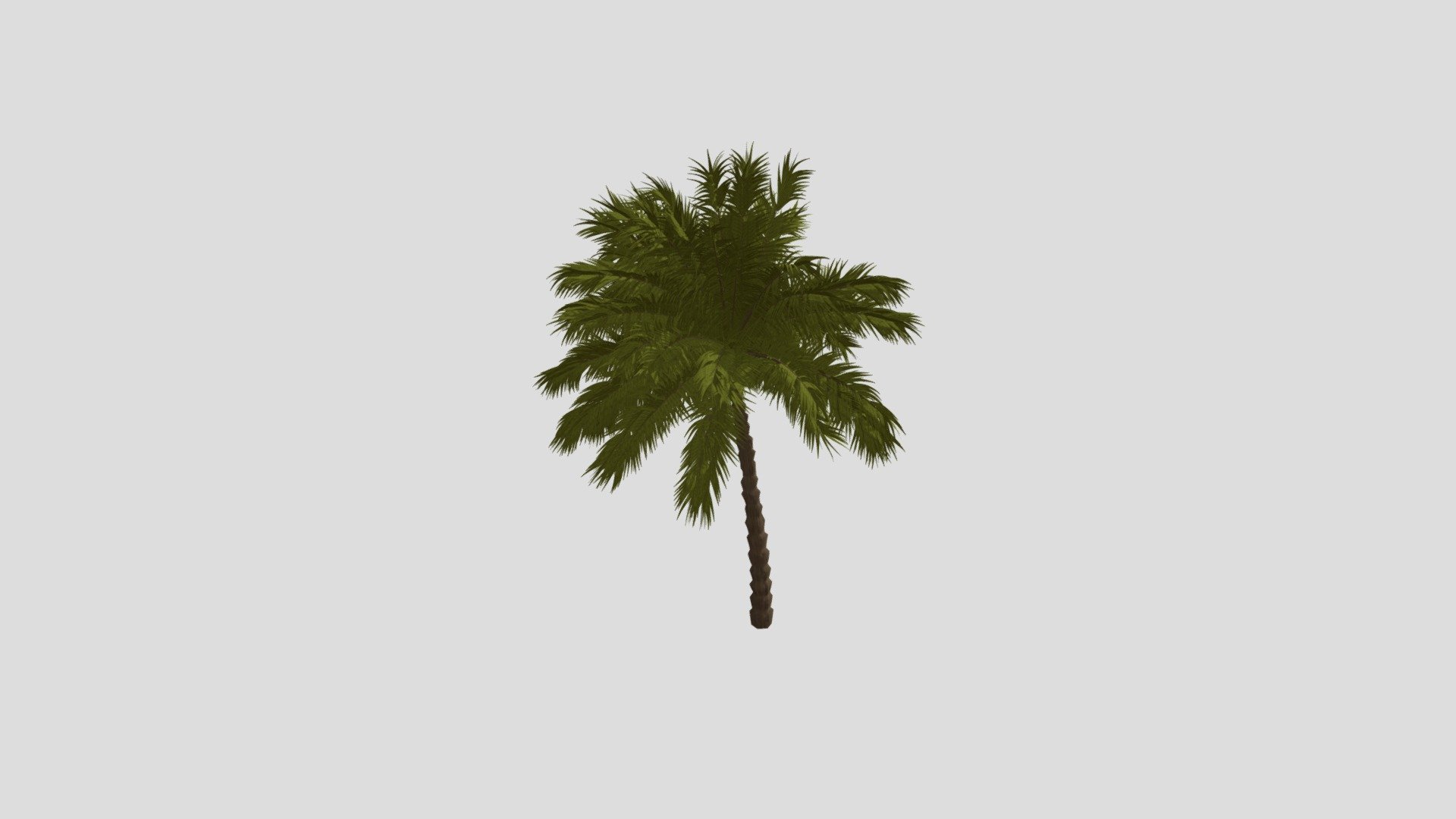 palm tree - 3D model by Mihael Stanchev (@Michmazmoz) [50f8472] - Sketchfab
