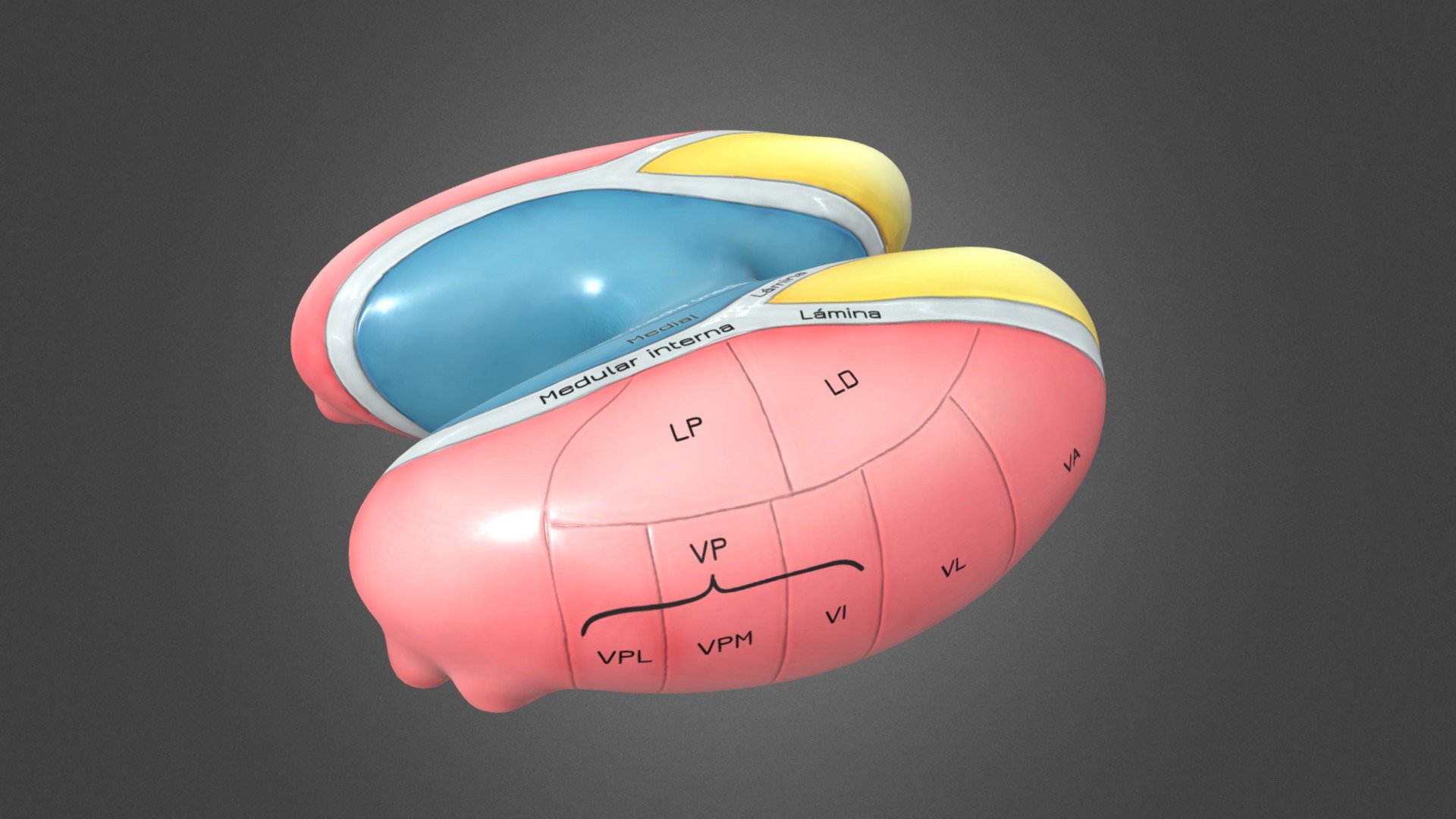 Talamo 1 - 3D model by Carlos Acevedo (@Carlitos.Acevedo) [50fdc76 ...