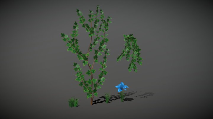 Foliage-plant 3D models - Sketchfab