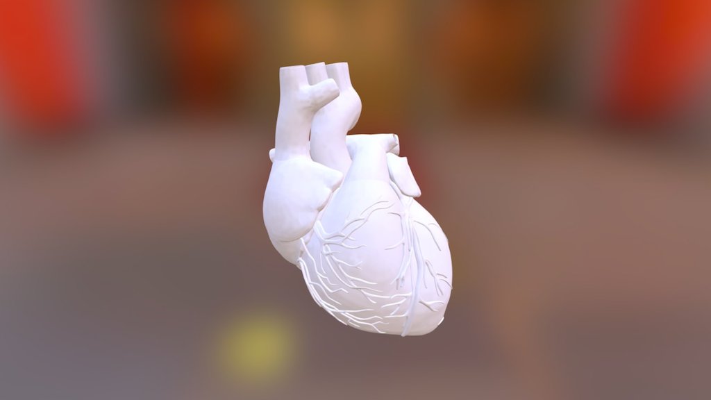 Heart Example - 3D model by ragingsquirrel3 [510a709] - Sketchfab