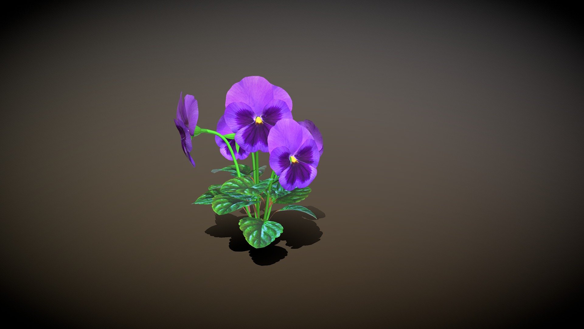 violets flower - Buy Royalty Free 3D model by pinotoon [51137b6 ...