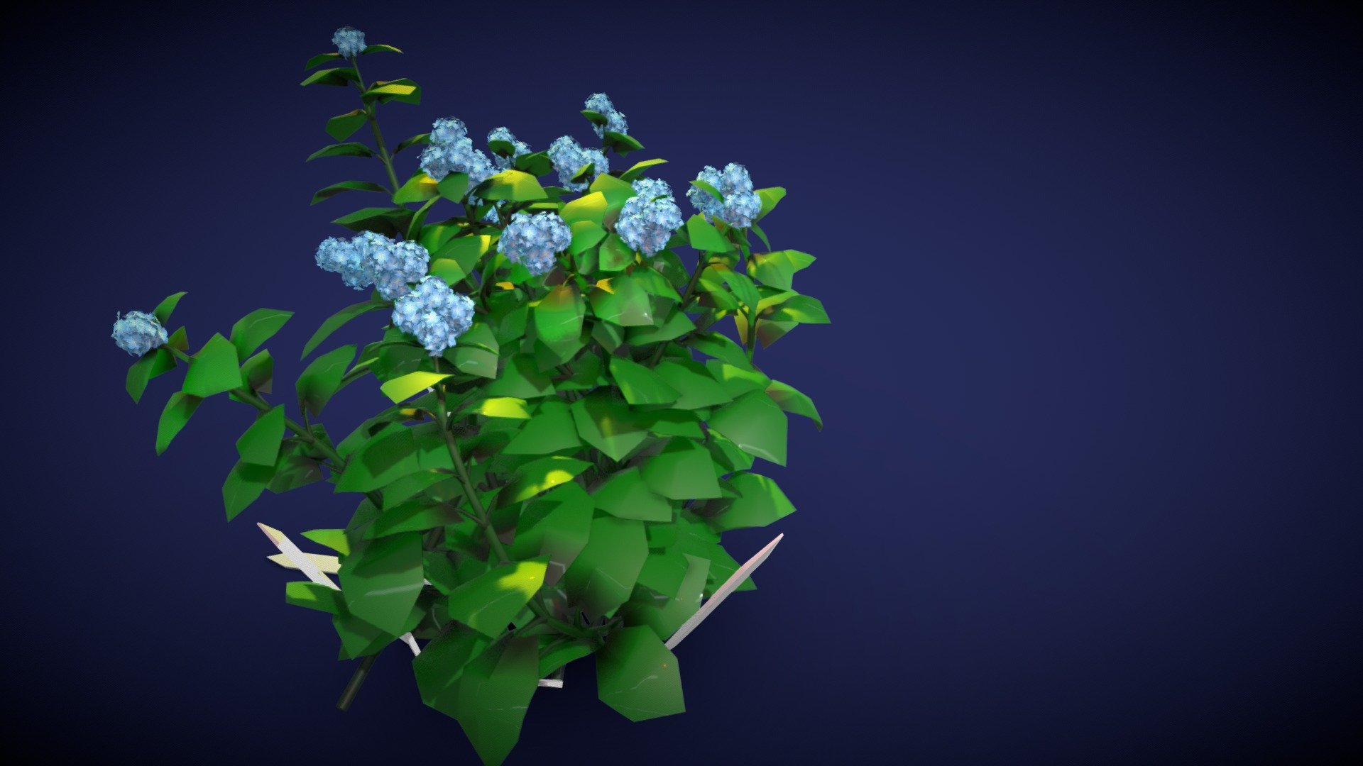 Hydrangea vol2 - Download Free 3D model by defiat11 [51162bb] - Sketchfab