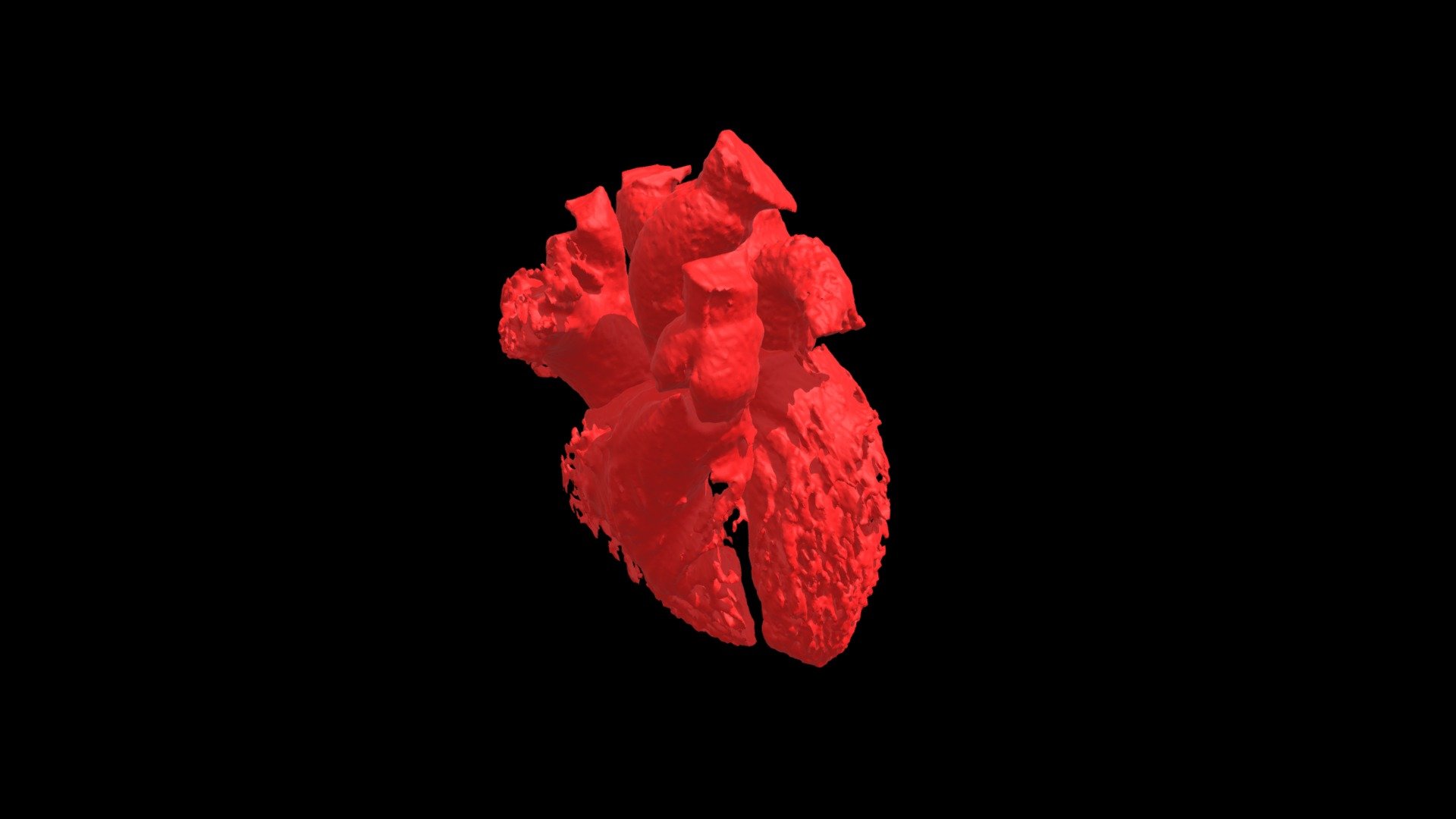 Adult Blood Volume Heart Model- Heart0131 - Download Free 3D model by ...