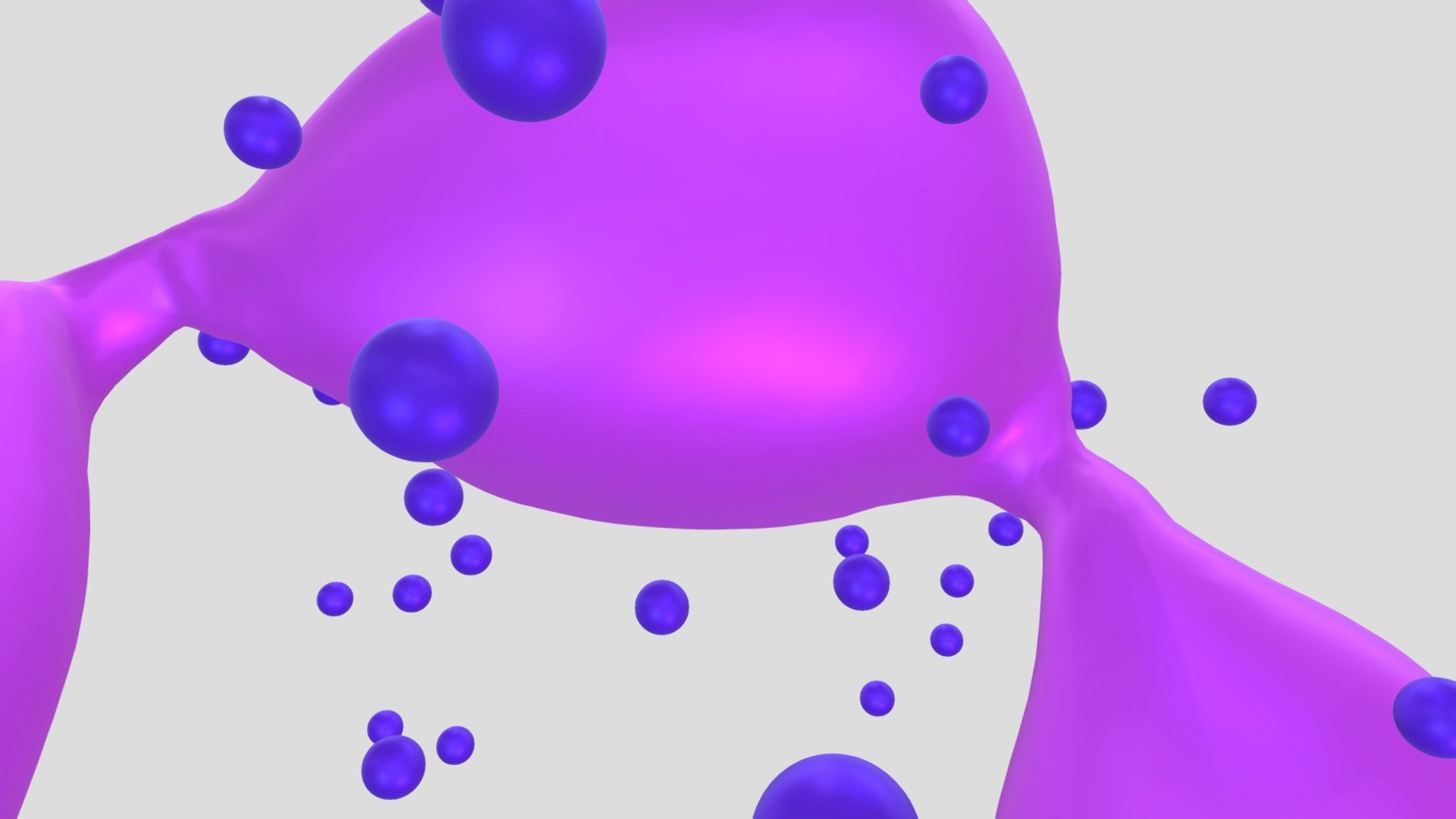 Neutrophil - 3D model by adilya [511e69d] - Sketchfab