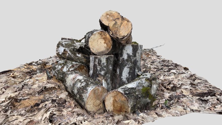 Firewood 3D models - Sketchfab