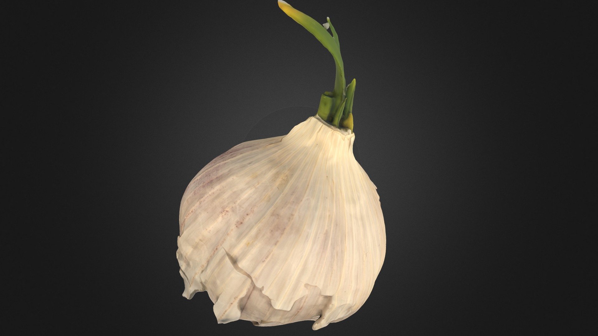 Garlic - Buy Royalty Free 3D model by BIM GIS Concept (@bimgisconcept ...