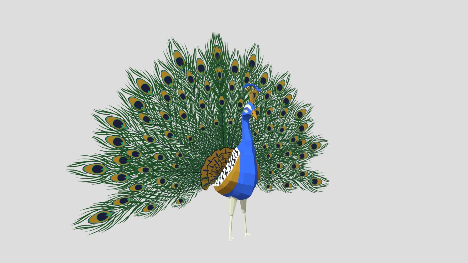Merak Burung Poli Rendah - Download Free 3D model by Ali Imana Rio (@rekiallard) [5141e8f ...