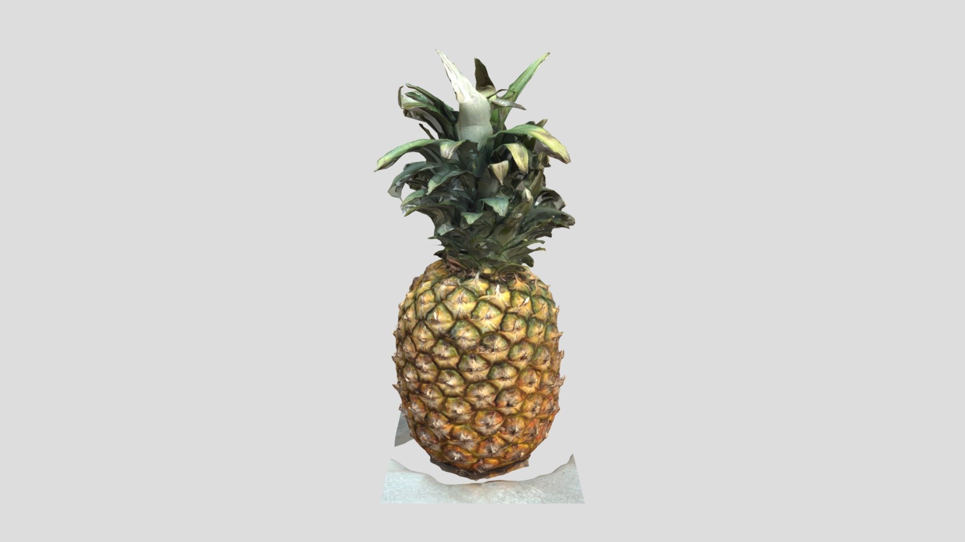 Pineapple - 3D model by norma (@nkatz) [5146166] - Sketchfab