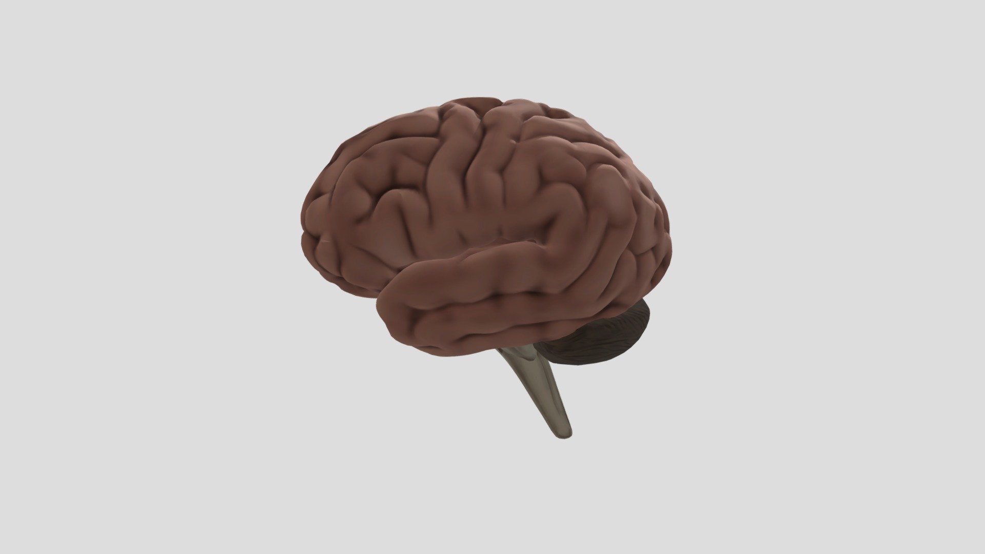 Brain - Download Free 3D model by Fig Fogg (@figfogg) [514a332] - Sketchfab