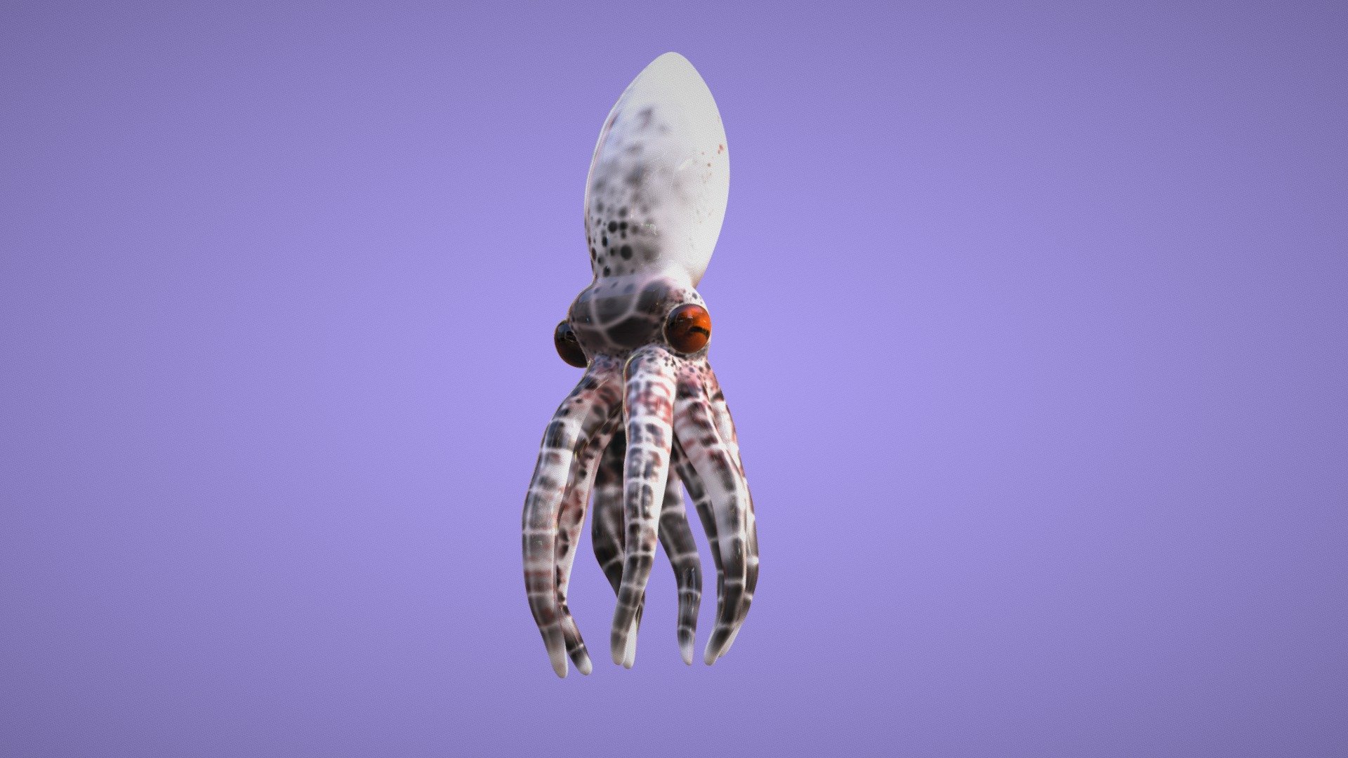 Baby Octopus - Buy Royalty Free 3D model by PARSONSARTS (@tomparsons ...