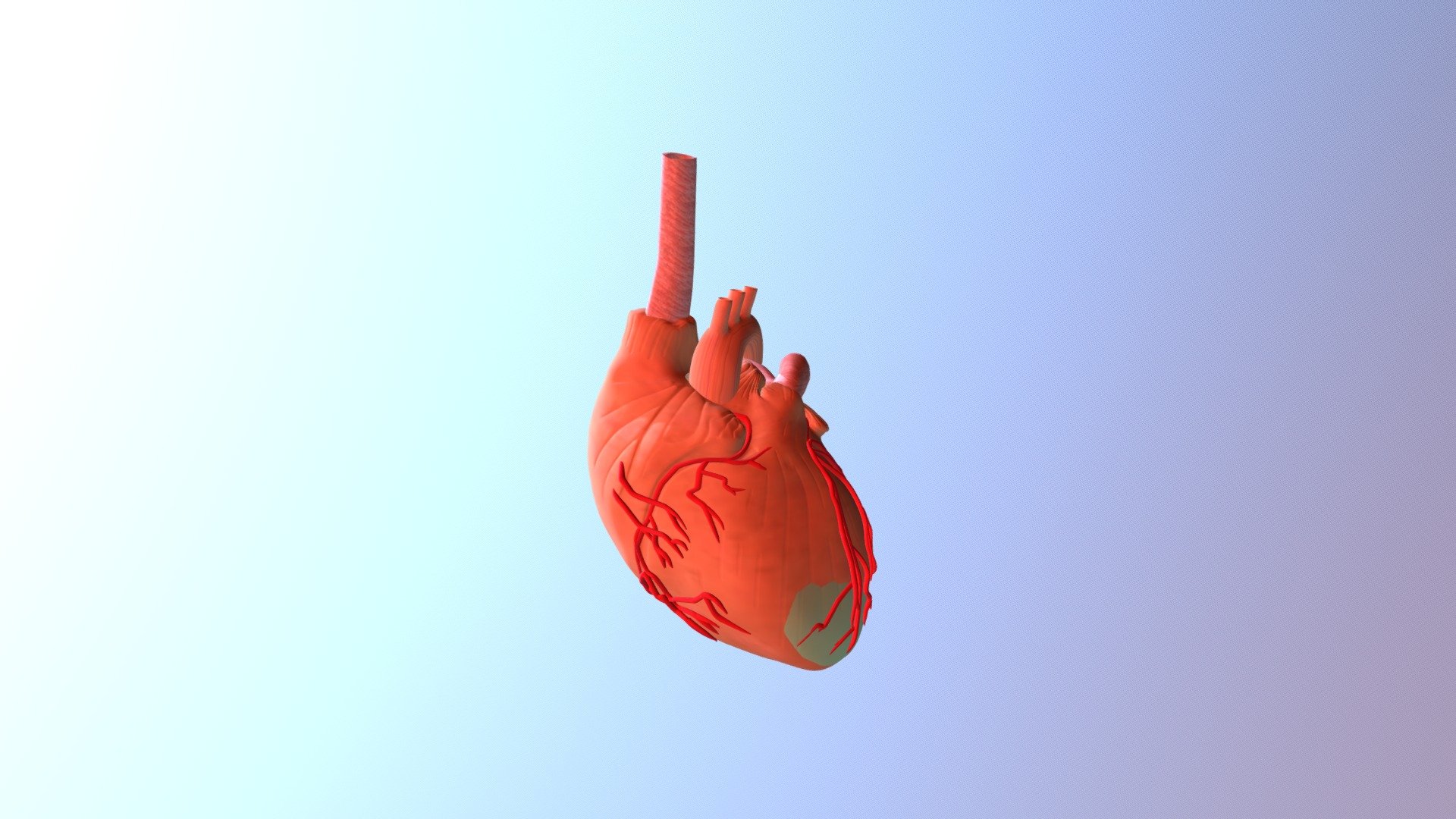 Beating Heart EKG 0005 - 3D model by catseyevisuals [5153724] - Sketchfab