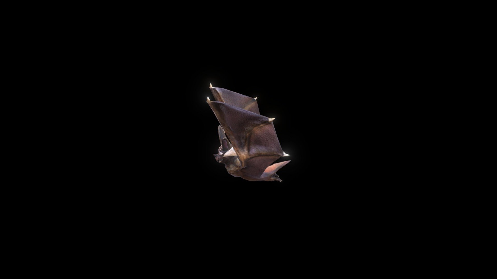 Bat - 3D model by Alekv [5155a71] - Sketchfab