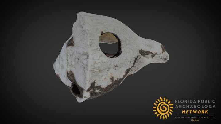 Shelltool 3D models - Sketchfab