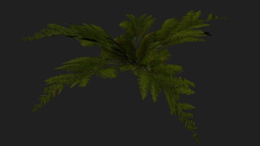 Fern - Download Free 3D model by Anthony V. (@pantherone) [515ff7e ...