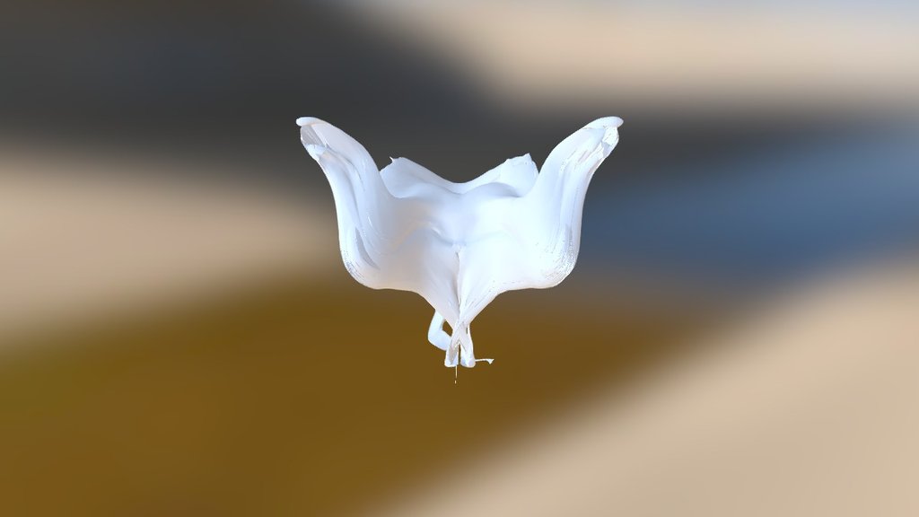 1711 - 3D model by leopoly1 [5160f18] - Sketchfab